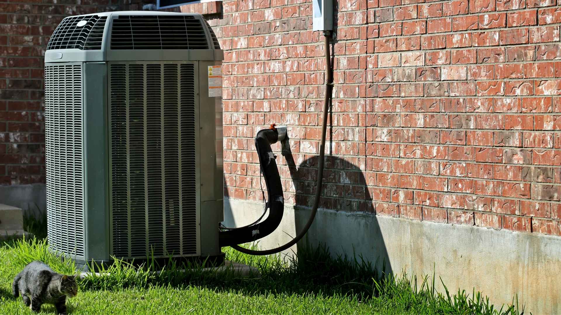 Why Spring Is the Best Time to Schedule an AC Tune-Up